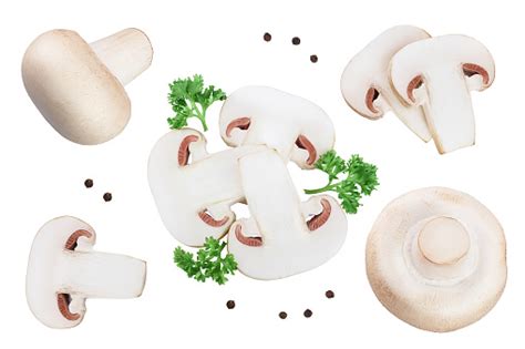 신선한 버섯과 흰색 배경에 고립 된 조각 맨 위 보기 플랫 레이 0명에 대한 스톡 사진 및 기타 이미지 0명 개체 그룹 건강한 식생활 Istock