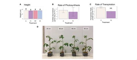Height And Carbon Assimilation In Tomato Plants A Height Of Tomato Download Scientific