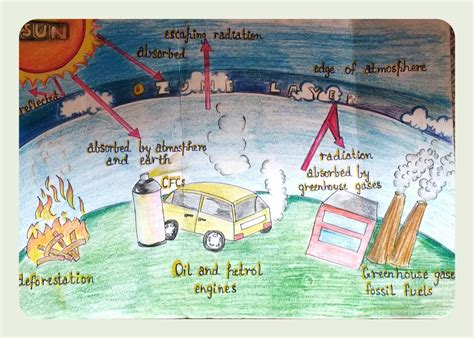 Ecosystem Drawing Realistic Drawing Skill