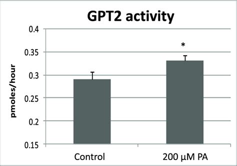 GPT Activity In Embryos Cultured In Control Medium Vs That In LM Download Scientific