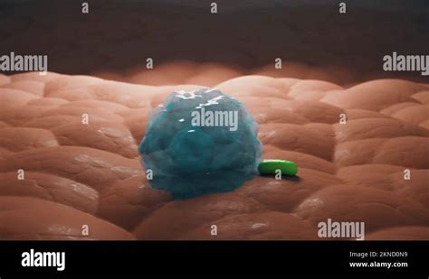 Immunization Process Stock Videos And Footage Hd And 4k Video Clips Alamy