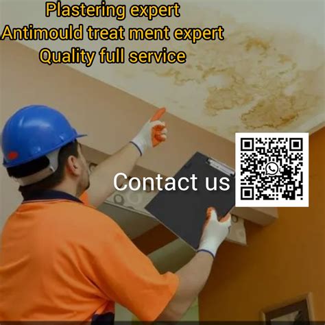 Ceiling Antimould Treatment Holes Fixing Putty Plaster Cement