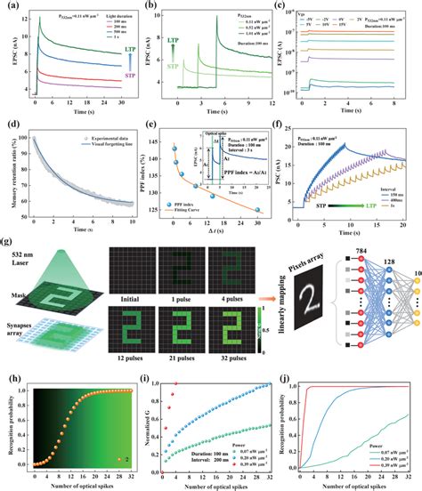 A Excitatory Postsynaptic Current Epsc Behaviors Triggered By A