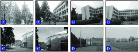 Image Pairs With Photometric Or Geometric Variations A Lighting B