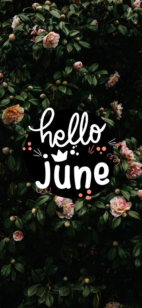 Hello June Wallpapers Wallpaper Cave