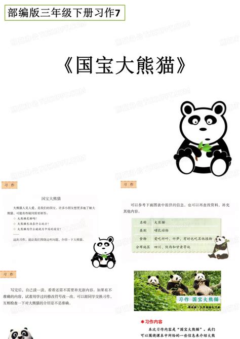 部编版三年级下册习作7国宝大熊猫PPT模板下载 编号qxvbxgjo 熊猫办公