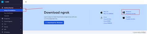 ngrok免费实现内网穿透 ngrok官网 csdn博客