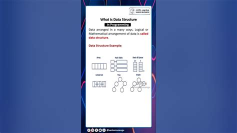 What Is Data Structure In Programming Language Tamil Datastructure Code Shorts Youtube