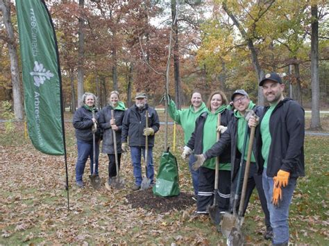 Committee Targets Canopy Coverage With Tree Plantings The Sarnia Observer