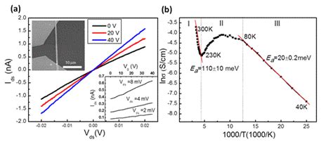 Quasi 1d Nanostructures Nami Nanoelectronics And Advanced Materials Innovations
