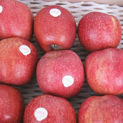 꿀 당도 가정용 엔비사과 3kg 대과 찬스마켓