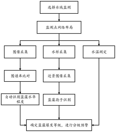 一种水体蓝藻监测系统及装置