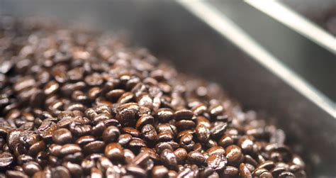 에스프레소 모카푸치노 등의 메뉴로 브라질에서 수입한 일본의 카페나 카페테리아 숍에서 음료를 위해 볶은 신선한 커피 원두의