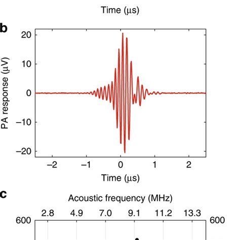 Pdf Dual Comb Photoacoustic Spectroscopy