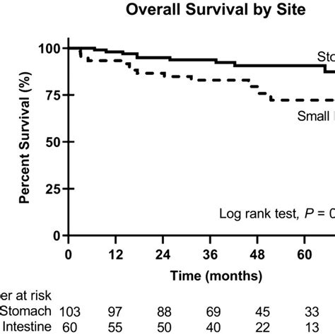 Axial Image Of A Contrast Ct Scan For A Gastric Gist The Tumor Download Scientific Diagram