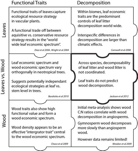 Understanding Wood Decomposition Oikos Journal