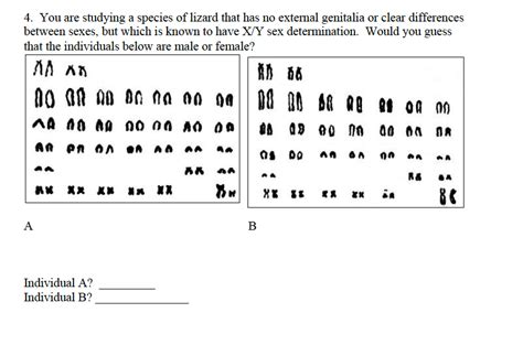 Solved 1 Consider The Following Rna Transcribed From The
