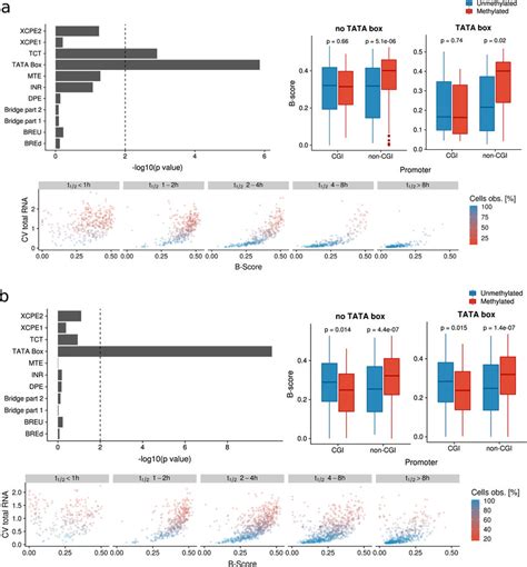 Bursting Kinetics Analyses Repeated For Subsets Of Genes A Analyses As Download Scientific