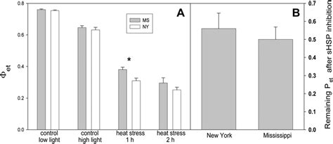 A Effects Of Acute Heat Stress On In Vivo Quantum Yield Of Electron