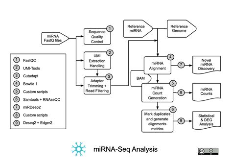 Mirna Seq Analysis · The Neuro Bioinformatics Core