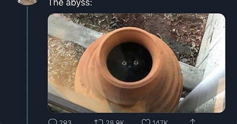 The Abyss Album On Imgur
