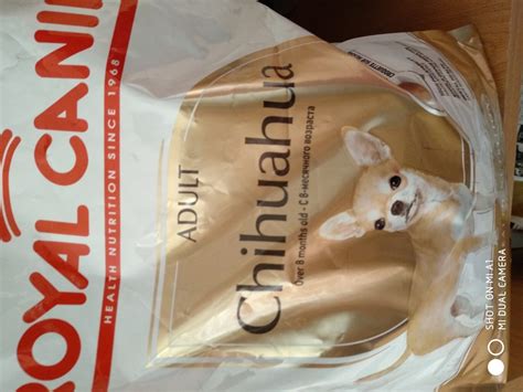 Royal Canin Breed Chihuahua Adult