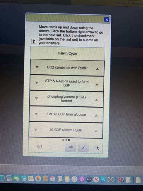 Chapter 9 Photosynthesi Move Items Up And Down Using