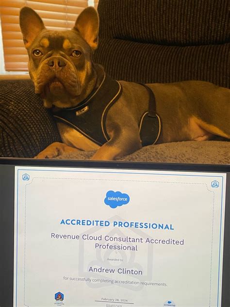 Andrew Clinton On Linkedin Revenuecloud Cpq Salesforce