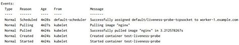 How To Perform Kubernetes Health Check Using Probes Golinuxcloud