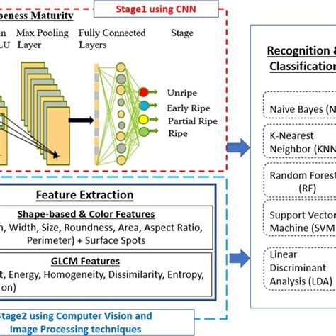 Glcm Texture Feature Values Across All Varieties And Grade Quality
