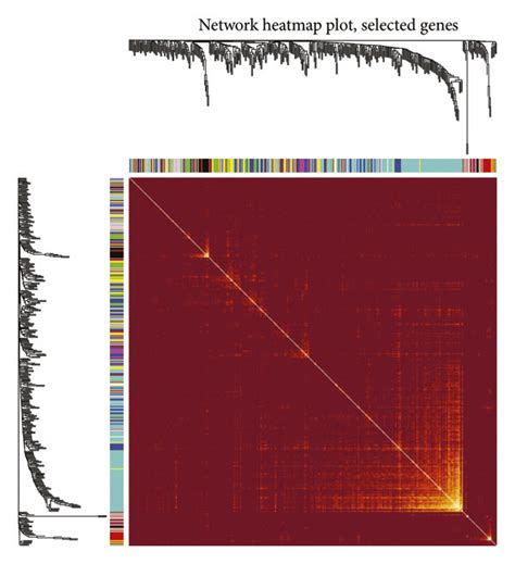 Wgcna Analysis Of Combined Datasets A Scale Independence And Mean