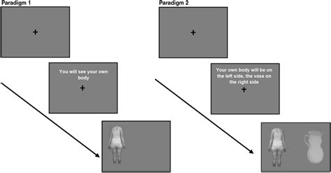 Schematic Illustration Of The Eye Tracking Experiments Download Scientific Diagram