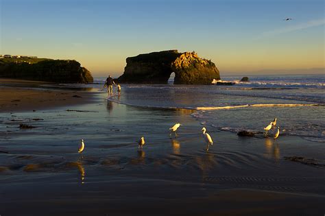 Natural Bridges State Beach