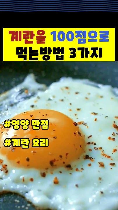 영양만점 계란요리 99세까지88하게 이슈 건강 건강꿀팁 건강정보 지식 중년건강 100세건강 구구팔팔 헬스케어 Youtube