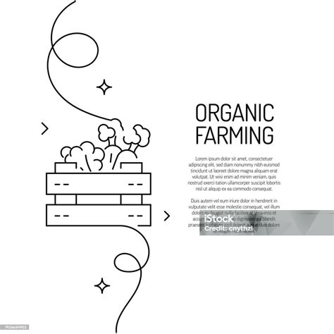 유기 농업 아이콘의 연속 선화입니다 손으로 그린 상징 벡터 일러스트 레이 션 식물에 대한 스톡 벡터 아트 및 기타 이미지 식물 한붓그리기 0명 Istock