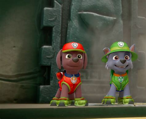 Chase And Zuma Paw Patrol Relation Ship Wiki Fandom Powered By Wikia