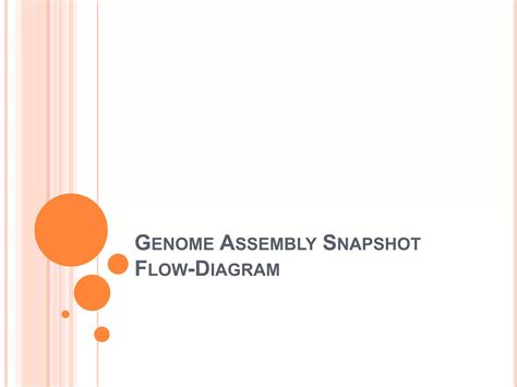 Genome Assembly Snapshot Flow Diagram Pptx