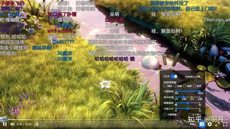 nplayer 支持移动、平板、桌面，高度可定制的弹幕视频播放器 知乎