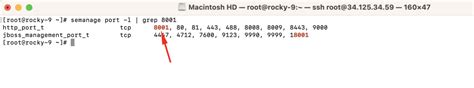 How To Configure Selinux On Rocky Linux 9 Devtutorial
