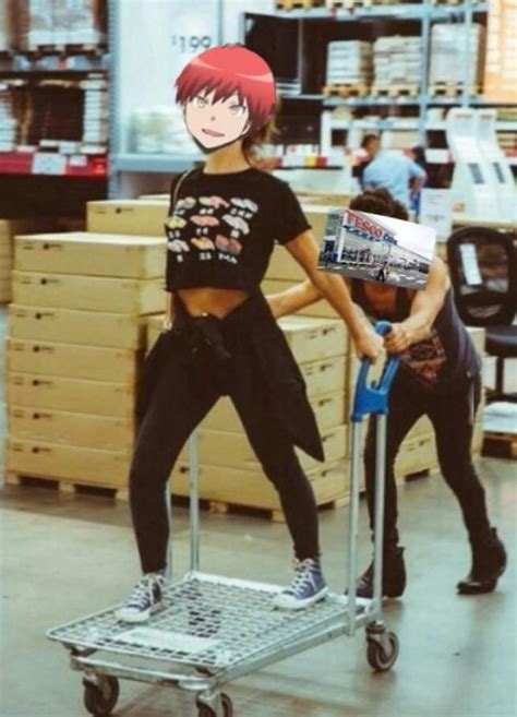 Congrats Assassination Classroom Amino