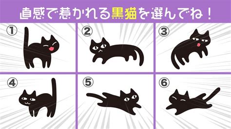 心理テスト今日は黒猫感謝の日 あなたの思う猫の好きなところを読み取ります