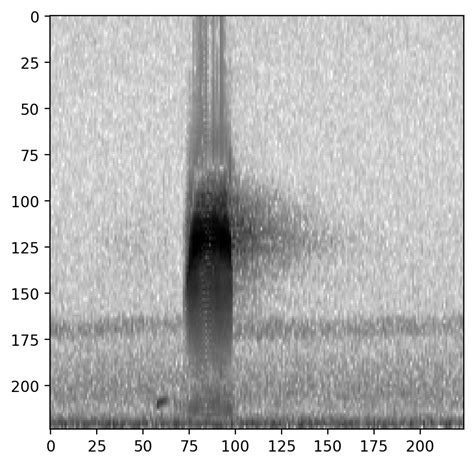 Preprocess Audio Samples — Opensoundscape 0110 Documentation