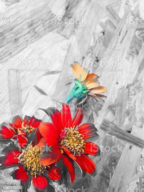 백 일초 꽃 색깔과 나무 배경 예술 형태로 쌓아 배경 및 카드 아이디어에 이상적입니다 0명에 대한 스톡 사진 및 기타 이미지 0명 계절 관목 Istock