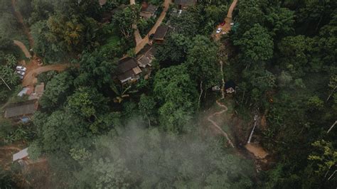 ดอยเคียงดาวโฮมสเตย์ ดอยเคียงดาวโฮมสเตย์ ดอยหลวงเชียงดาว