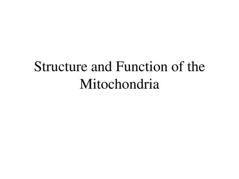 Mitochondrial Structure And Function Ppt