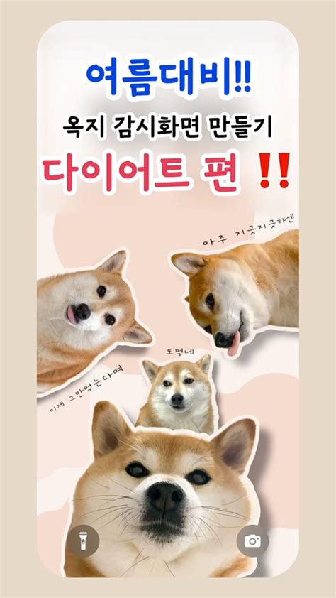 옥지네 운동은 해야되는데 하기싫을 때 쓰기좋은 짤입니다 Instagram