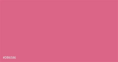 Db6586 Hex Color Shades And Complementary Colors