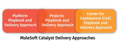 MuleSoft Catalyst Delivery Approaches Middleware Advisor