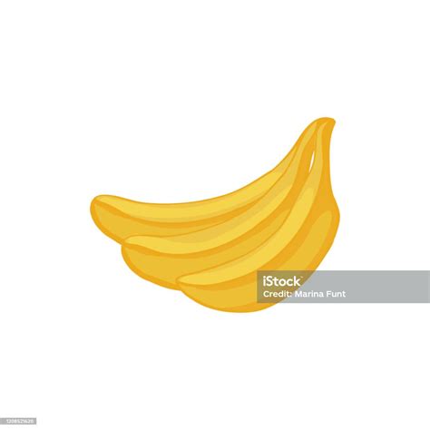 흰색 배경에 격리 된 3 노란색 바나나와 벡터 그림입니다 칵테일 이나 건강 한 음식 스무디에 대 한 열 대 과일 포장 또는 라벨 디자인 0명에 대한 스톡 벡터 아트 및 기타