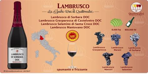 I Vini Lambrusco - Guida Quattrocalici